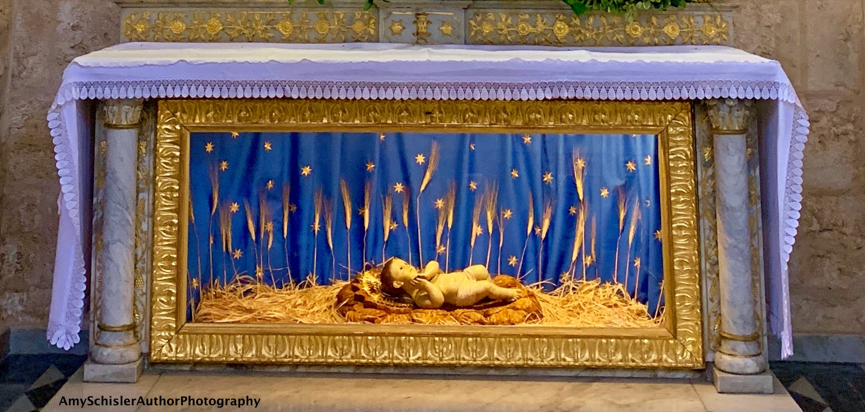 What’s in Your Wallet? – Amy Schisler